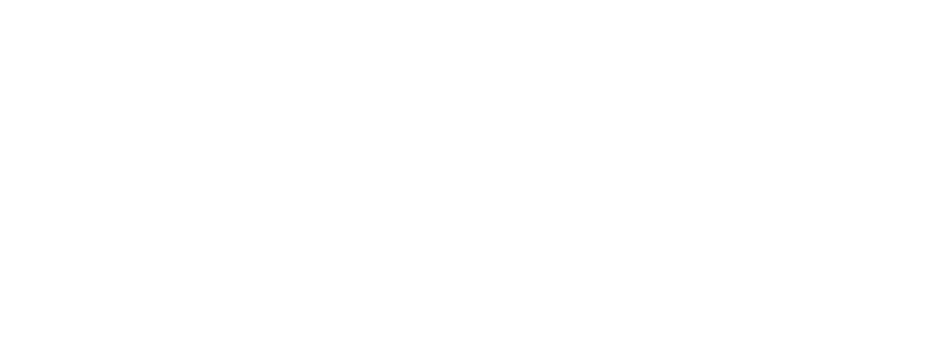 Empleabilidad - Flexo Spring