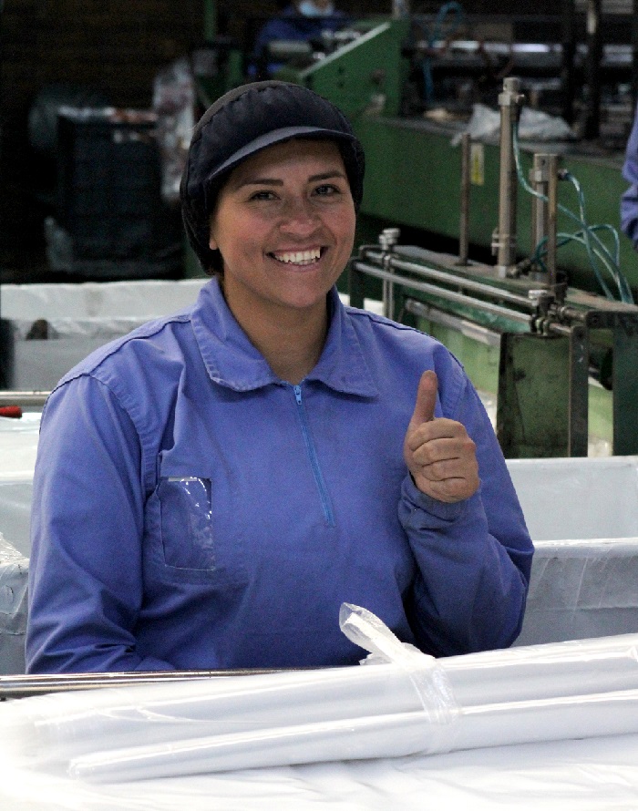 Empleabilidad - Flexo Spring